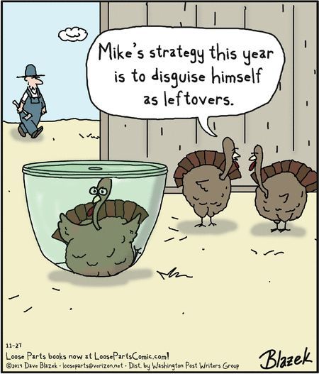 Funny Thanksgiving Jokes Funny Thanksgiving Jokes